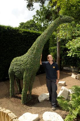 32 Plant Topiary Foot Snake Snakes Editorial Stock Photo - Stock Image ...