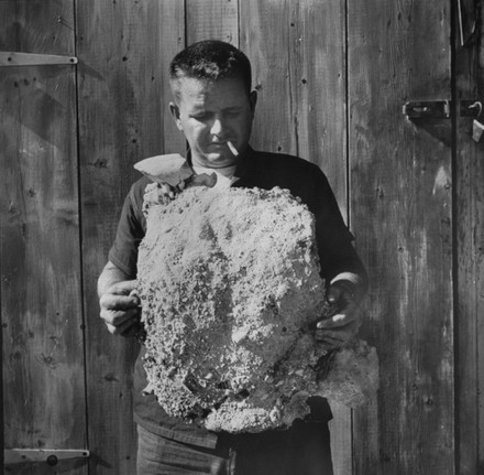 Treasure Hunter Teddy Tucker Holding Brought Editorial Stock Photo ...