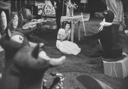 12 Year Old Susan Heinkel Conducting Editorial Stock Photo - Stock ...