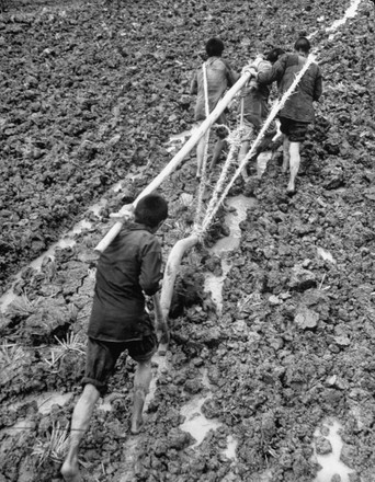 May 1946 Halfstarved Farmers Dragging Plow Editorial Stock Photo ...