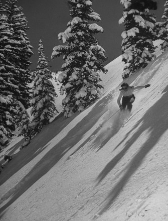 15year Old Skiing Prodigy Andrea Mead Editorial Stock Photo - Stock ...