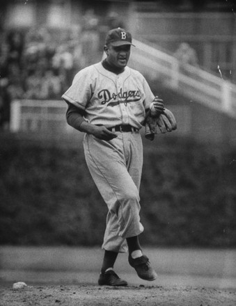 Baseball Player Don Newcombe Dodger Uniform Editorial Stock Photo ...