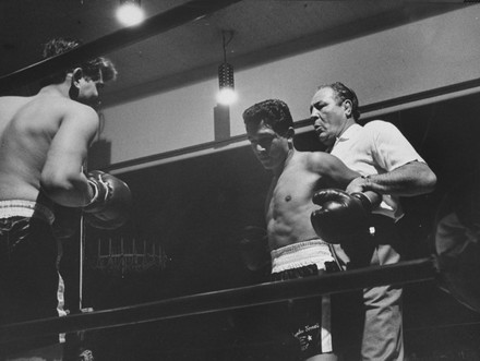 Boxer Max Baer 2r Participating Charity Editorial Stock Photo - Stock ...