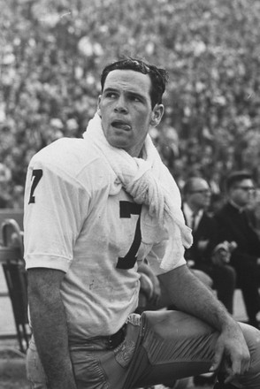 Notre Dame Quarterback John Huarte Watching Editorial Stock Photo ...