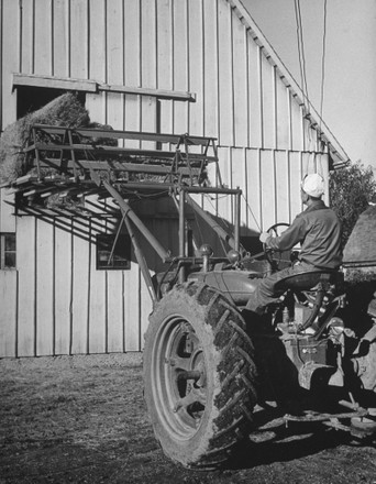 October 1945 Farmer Loading Hay Into Editorial Stock Photo - Stock ...
