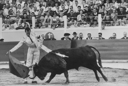 Matador Luis Miguel Dominguin L Editorial Stock Photo - Stock Image ...