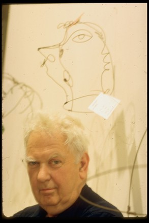 Portrait Sculptor Alexander Calder His Home Editorial Stock Photo ...