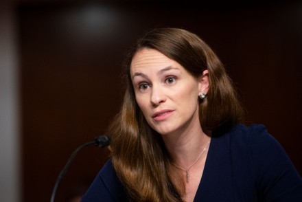 Dr Sheena Chestnut Greitens Associate Professor Editorial Stock Photo ...