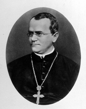 Austrian Botanist Monk Gregor Johann Mendel Editorial Stock Photo ...