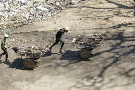 Youths Push Sugar Cane Laden Carts Editorial Stock Photo - Stock Image ...