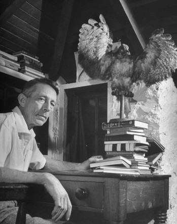 Poet Robinson Jeffers Sitting His Desk Editorial Stock Photo - Stock ...