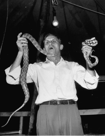 Snake Handler W R Tinker Holding Editorial Stock Photo - Stock Image ...