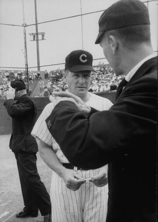 Chicago Cubs Coach Elvin Tappe Editorial Stock Photo - Stock Image ...