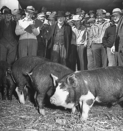 April 1946 Quaker Farm Auction Editorial Stock Photo - Stock Image ...
