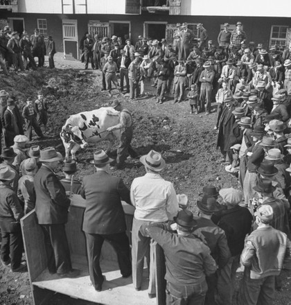 April 1946 Quaker Farm Auction Editorial Stock Photo - Stock Image ...
