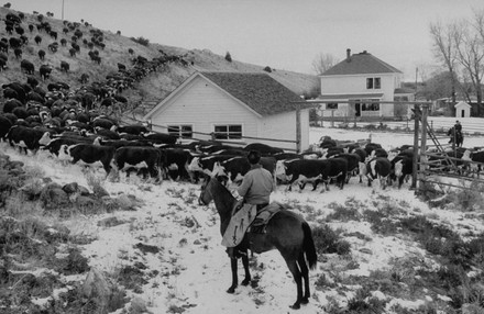76 1959 cowboys Stock Pictures, Editorial Images and Stock Photos ...