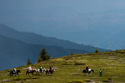 Tourists Ride Horses Shar Planina Mountain Editorial Stock Photo ...