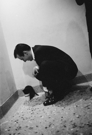 American Singer Bobby Darin 1936 1973 Editorial Stock Photo - Stock ...