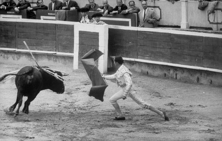 Spanish Matador Luis Miguel Dominguin Making Editorial Stock Photo ...