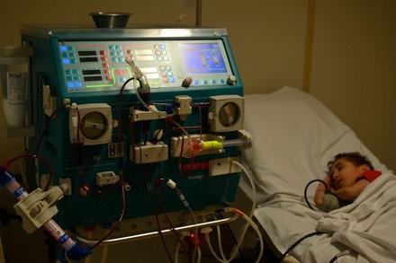 Lebanese Child Undergoes Treatment Dialysis Department Editorial Stock ...