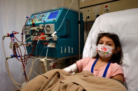 Lebanese Girl Undergoes Treatment Dialysis Department Editorial Stock ...