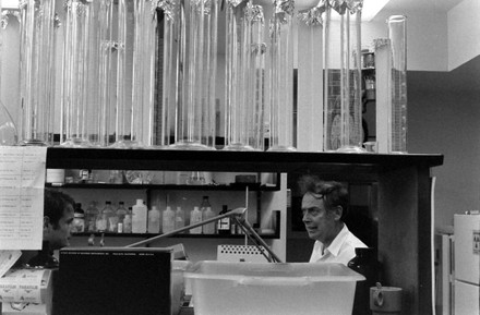 Biologist James Watson R Talking Man Editorial Stock Photo - Stock ...