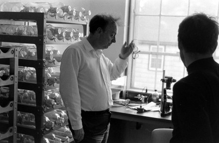 Biologist James Watson L Talking Man Editorial Stock Photo - Stock ...