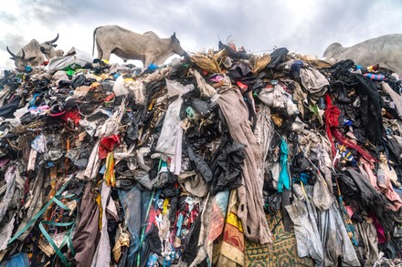 Unsellable Imported Secondhand Clothes Rotting Dumpsite Editorial Stock ...