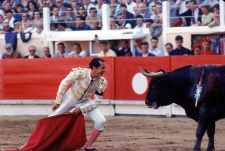 Spanish Bullfighter Torero Luis Miguel Dominguin Editorial Stock Photo ...