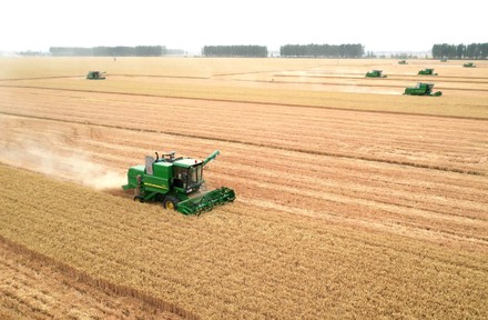 Aerial Photo Shows Harvesters Working Wheat Editorial Stock Photo ...
