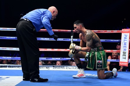 1,000 Australian boxing Stock Pictures, Editorial Images and Stock ...