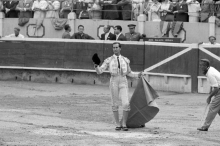 Spanish Bullfighter Luis Miguel Dominguin His Editorial Stock Photo ...