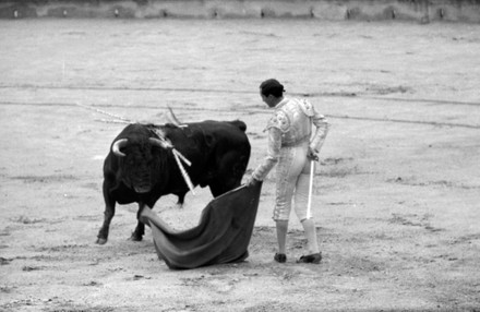 Spanish Bullfighter Luis Miguel Dominguin Making Editorial Stock Photo ...