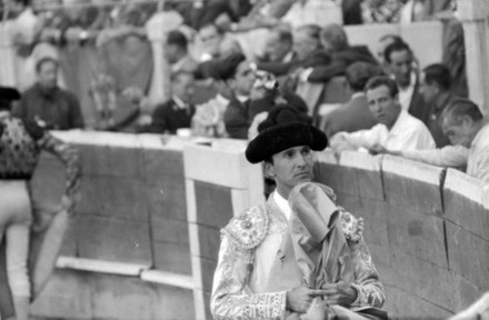 Spanish Bullfighter Luis Miguel Dominguin Holding Editorial Stock Photo ...