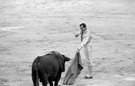 Spanish Bullfighter Luis Miguel Dominguin Making Editorial Stock Photo ...