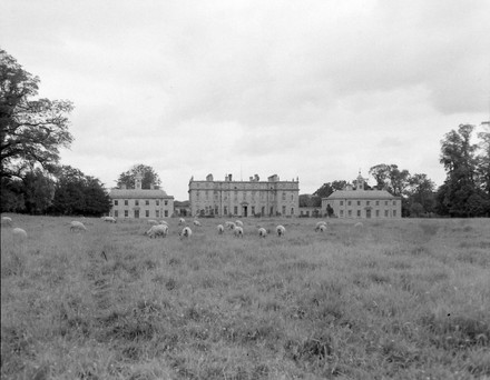 Sheep Graze On Estate Grounds Ditchley Editorial Stock Photo - Stock ...