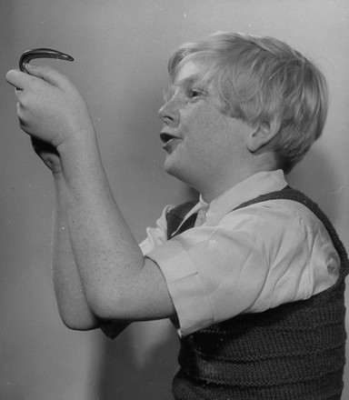 Child Actor Bobby Henrey Anglofrench Star Editorial Stock Photo - Stock ...