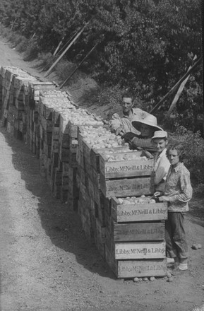 1,000 1950s immigration Stock Pictures, Editorial Images and Stock ...