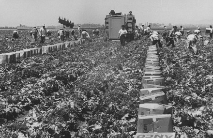 1,000 1950s immigration Stock Pictures, Editorial Images and Stock ...