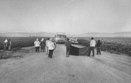1,000 1950s immigration Stock Pictures, Editorial Images and Stock ...