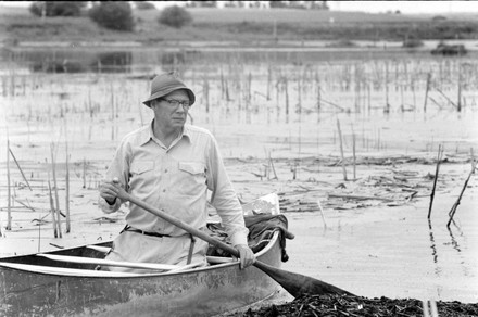 Portrait American Zoology Professor Conservationist Paul Editorial ...