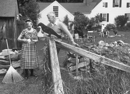84 Charles van doren Stock Pictures, Editorial Images and Stock Photos ...