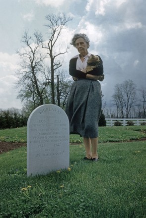 500 1950s pets Stock Pictures, Editorial Images and Stock Photos ...