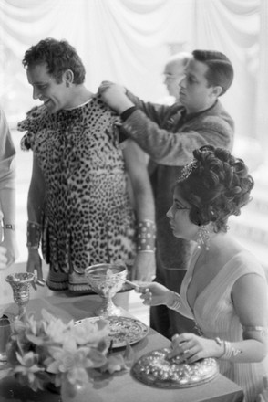 Britishamerican Actress Elizabeth Taylor Sitting Table Editorial Stock ...