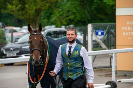 Winner Prestigious Gold Cup Racehorse Subjectivist Editorial Stock ...