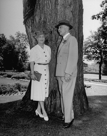 Princess Alice Earl Athlone Standing Front Editorial Stock Photo ...