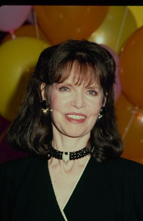 United States March 18 Barbara Feldon Editorial Stock Photo - Stock ...