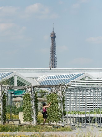 World's largest urban roof farm, Paris, France - 16 Jun 2021 Stock ...
