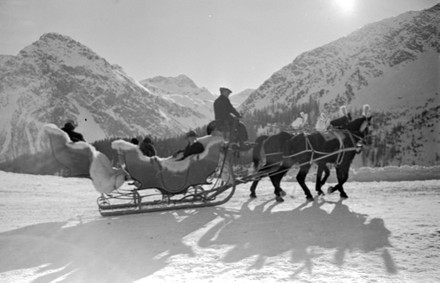 Group People Riding Horsedrawn Sleigh On Editorial Stock Photo - Stock ...