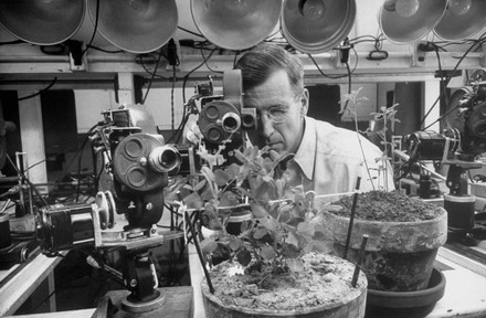 Walt Disney Animatorartists Work Filming Their Editorial Stock Photo ...